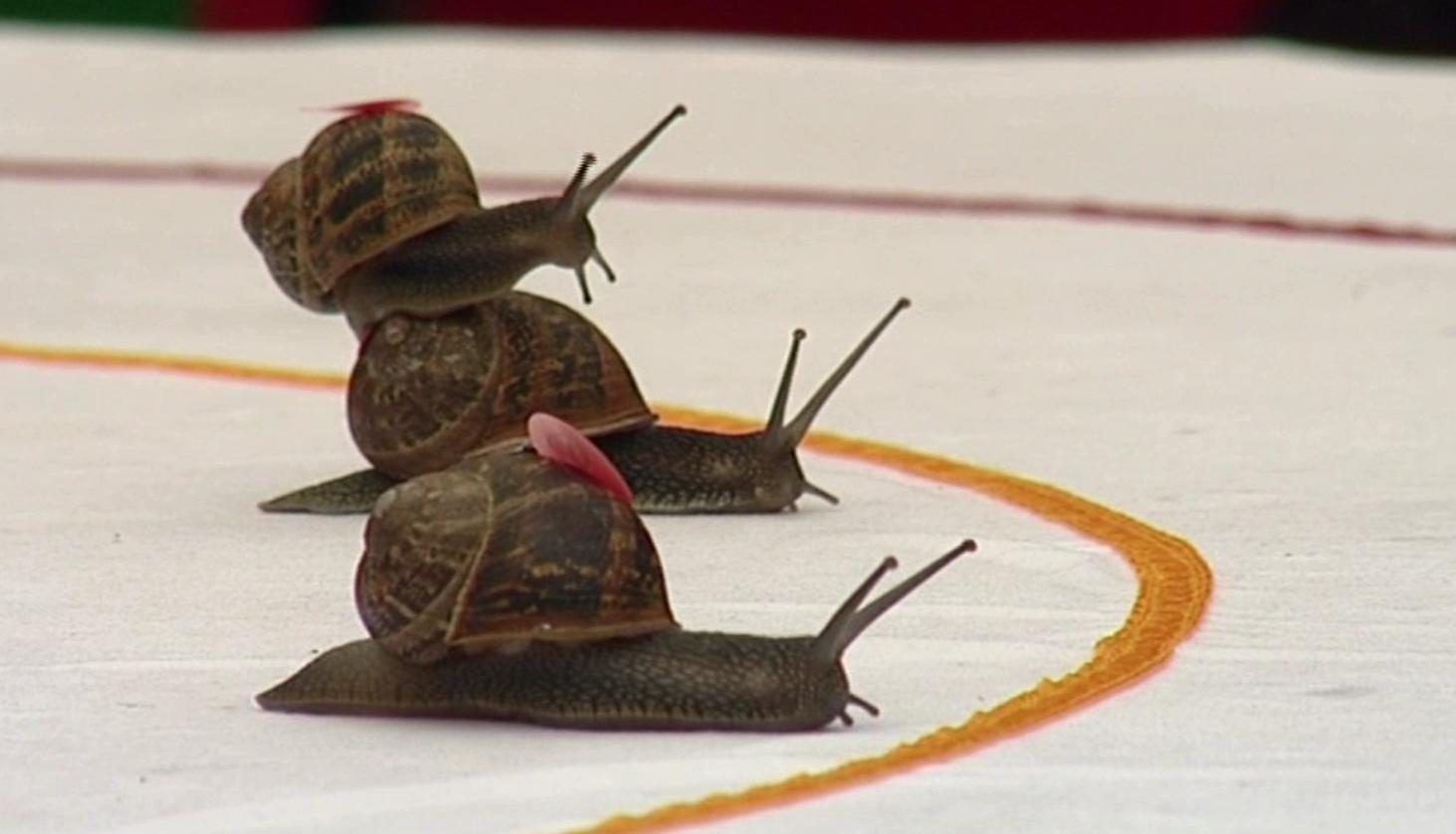 Commuting to work in London - Page 3 - Biker Banter - PistonHeads UK